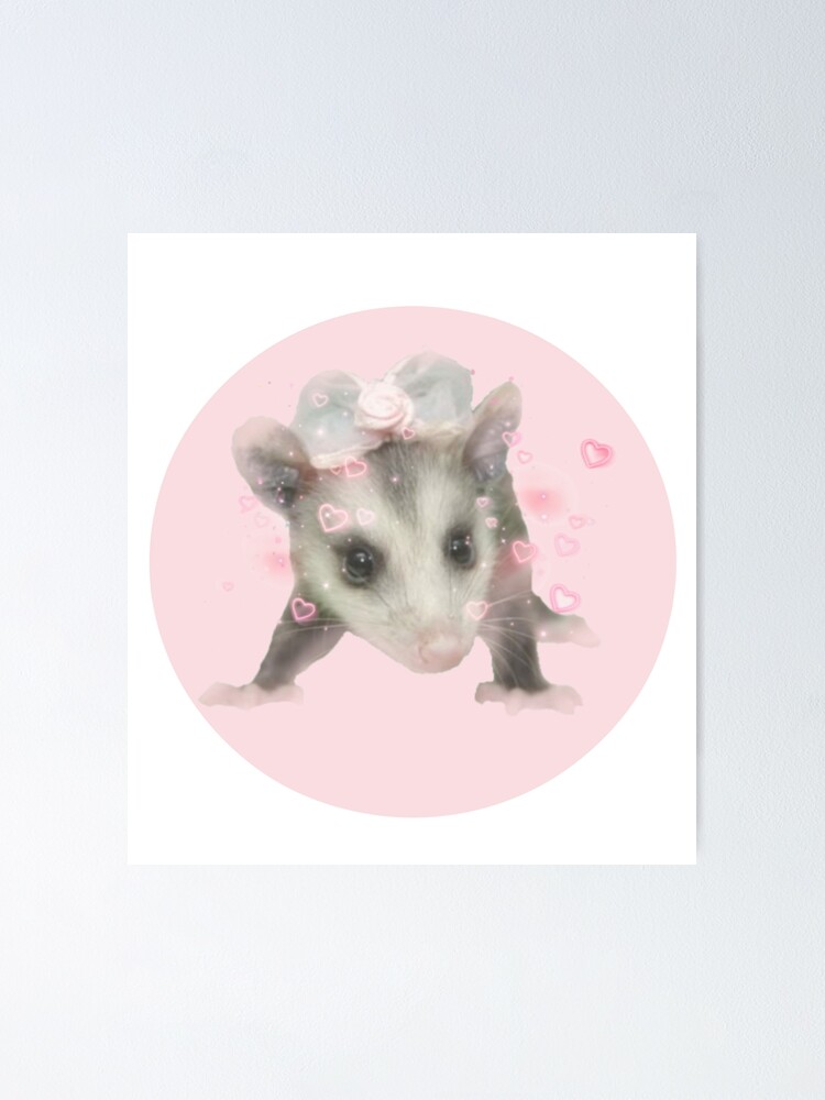 "princess possum" Poster by blueberrypossum | Redbubble