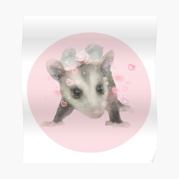 "princess possum" Poster by blueberrypossum | Redbubble