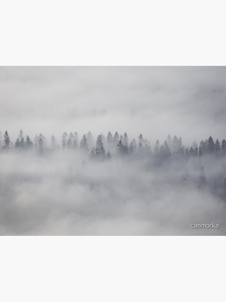 "Fog" Sticker by canmorka | Redbubble