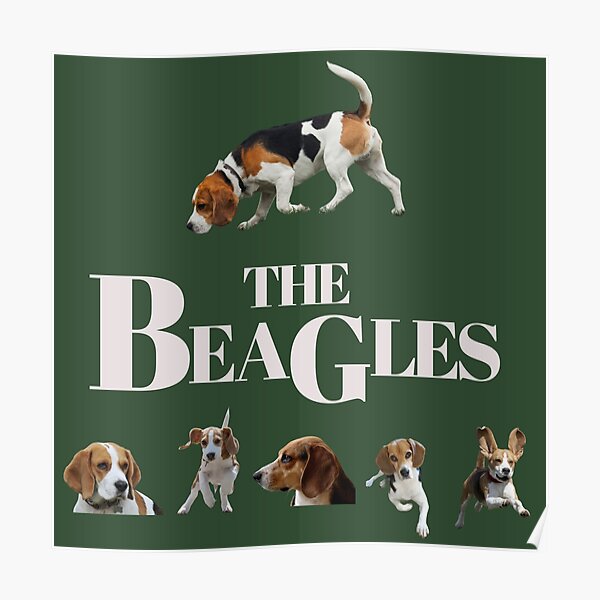"The Beagles - dark green background" Poster by aliveinmiddle | Redbubble