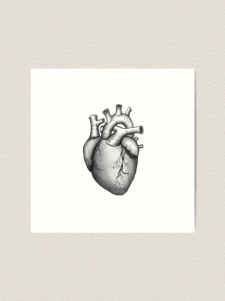 Dessins De Vrais Coeurs Le Coeur Des Vrais Français | Paris Musées