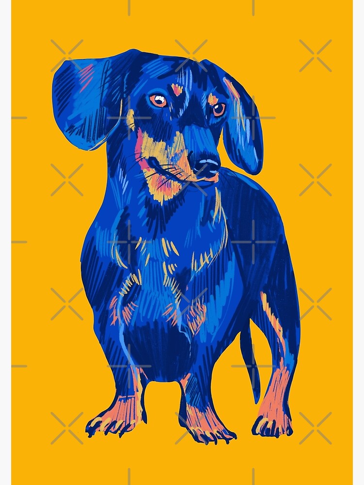 "Wiener Dog Artistic Drawing " Art Print for Sale by pantonia | Redbubble