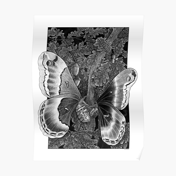 "Promethea Silkmoths Illustration " Poster for Sale by twelfthsun ...