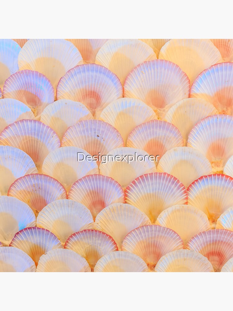 "Pearl Seashell Rows " Sticker for Sale by Designexplorer | Redbubble