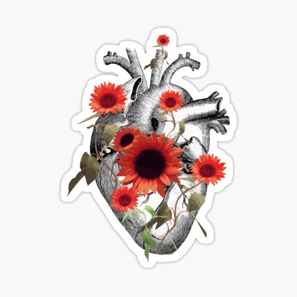 "Blood Spring Heart flower, heart red blood sunflowers,vintage ...