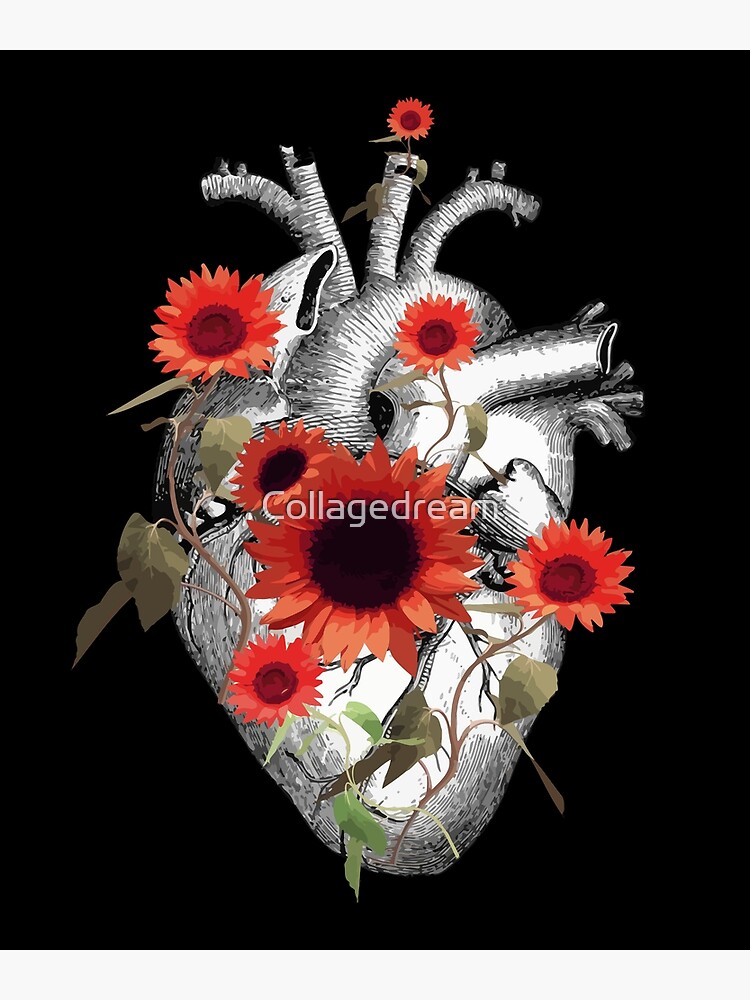 "Blood Spring Heart flower, heart red blood sunflowers,vintage ...