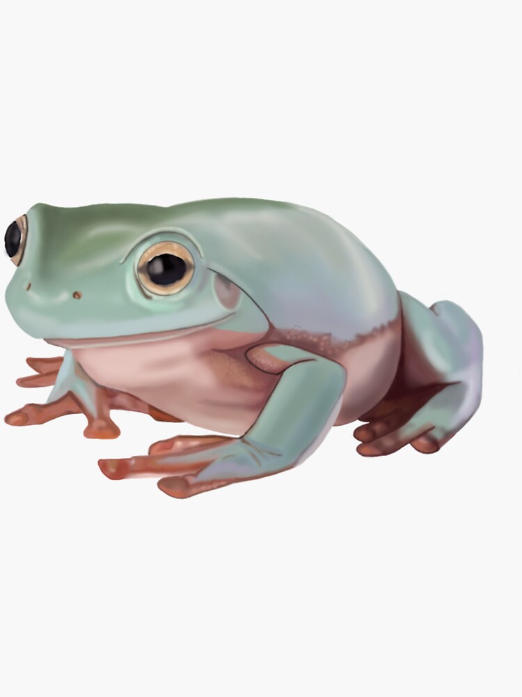 "Australian Green Tree Frog" Sticker for Sale by MaeveCurranArt | Redbubble