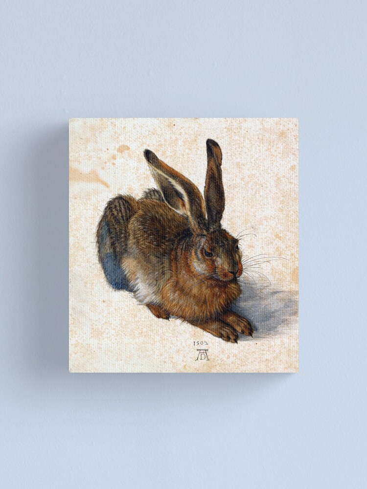 "Albrecht Durer Young Hare" Canvas Print for Sale by pdgraphics | Redbubble