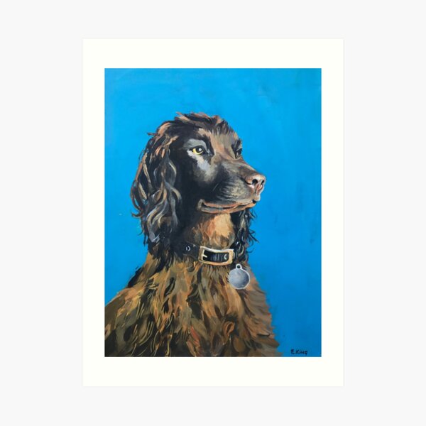 Sprocker Spaniel Art Prints | Redbubble