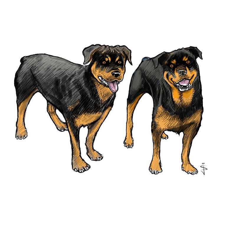 "Rotties" by Jan Szymczuk | Redbubble