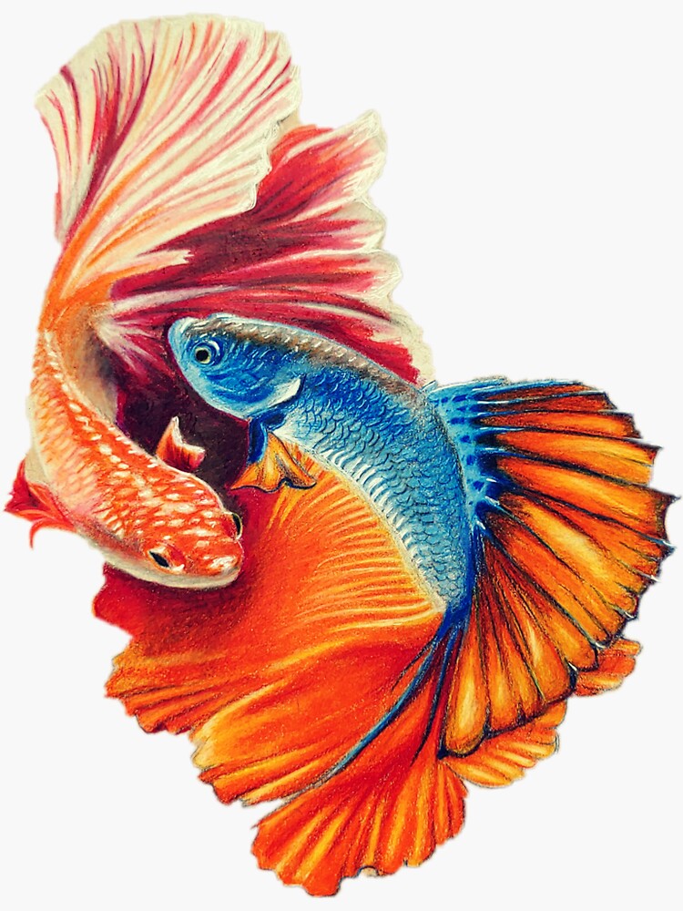 "Beta Fish Yin and Yang" Sticker for Sale by AlexArtwork | Redbubble