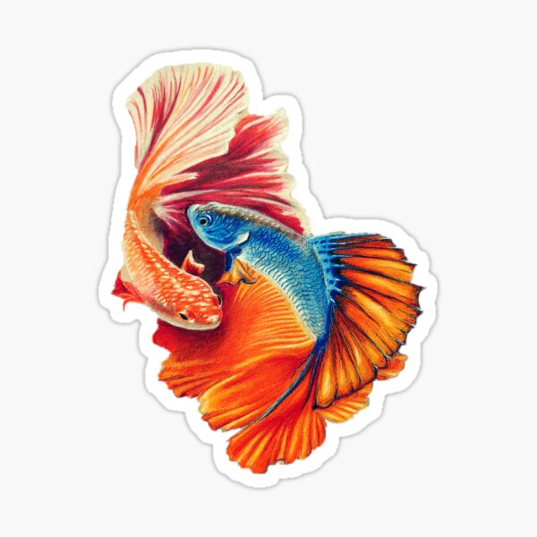 "Beta Fish Yin and Yang" Sticker for Sale by AlexArtwork | Redbubble