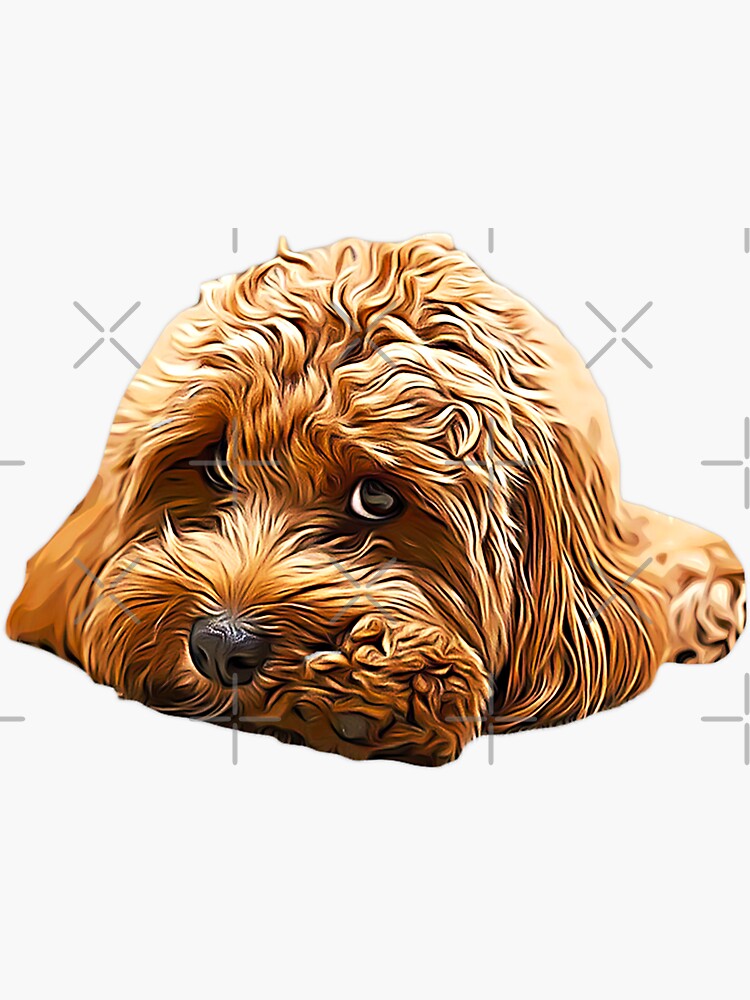 Cavapoo Merch & Gifts for Sale | Redbubble