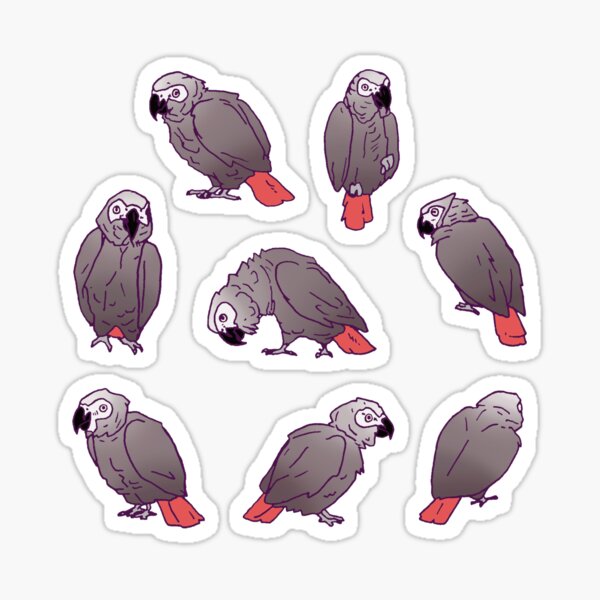 "African Grey Parrot Sticker Bundle Pack" Sticker for Sale by ...