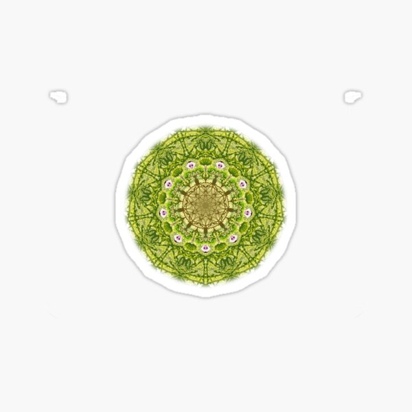 "capuchin" Sticker for Sale by MelloMedusa | Redbubble