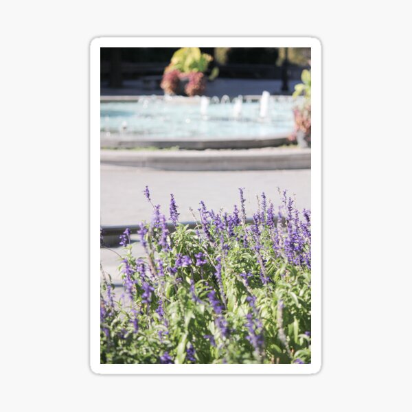 "Purple flowers by the water fountain" Sticker for Sale by stina-bee | Redbubble