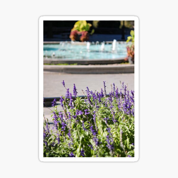 "Purple flowers by the water fountain" Sticker by stina-bee | Redbubble