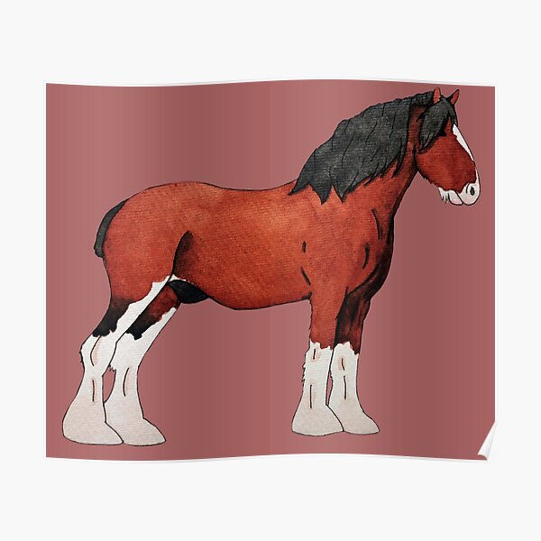 "Red Clydesdale" Poster by Fave101 | Redbubble