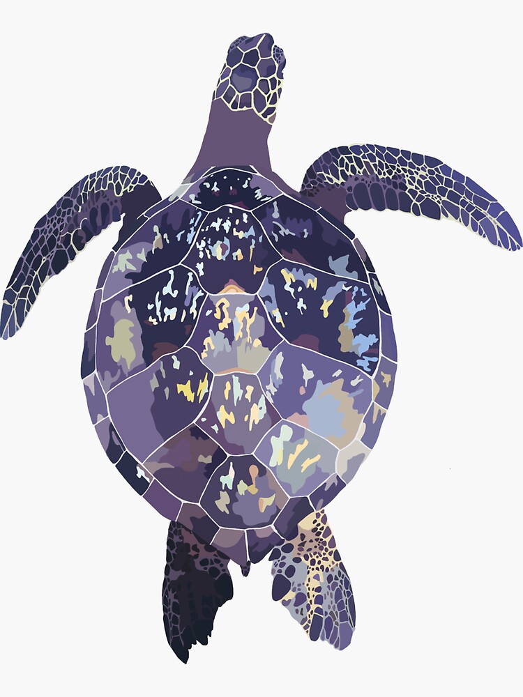"Purple Sea Turtle" Sticker by taylorksea | Redbubble
