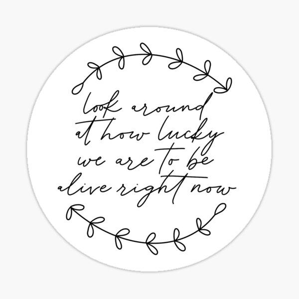 "look around" Sticker by cassidyjane | Redbubble
