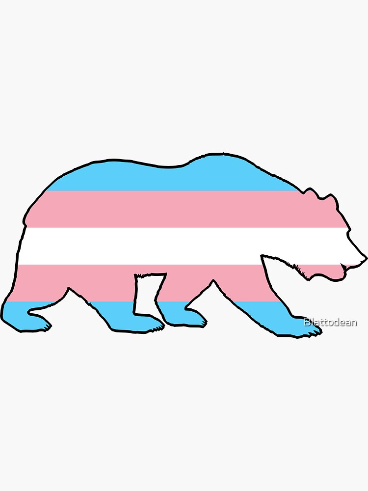 "Trans Bear (w/ Outline)" Sticker by Blattodean | Redbubble