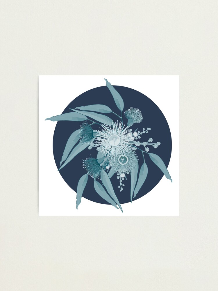 "Eucalyptus Blue Bloom - Monochromatic Blue Color Palette" Photographic ...