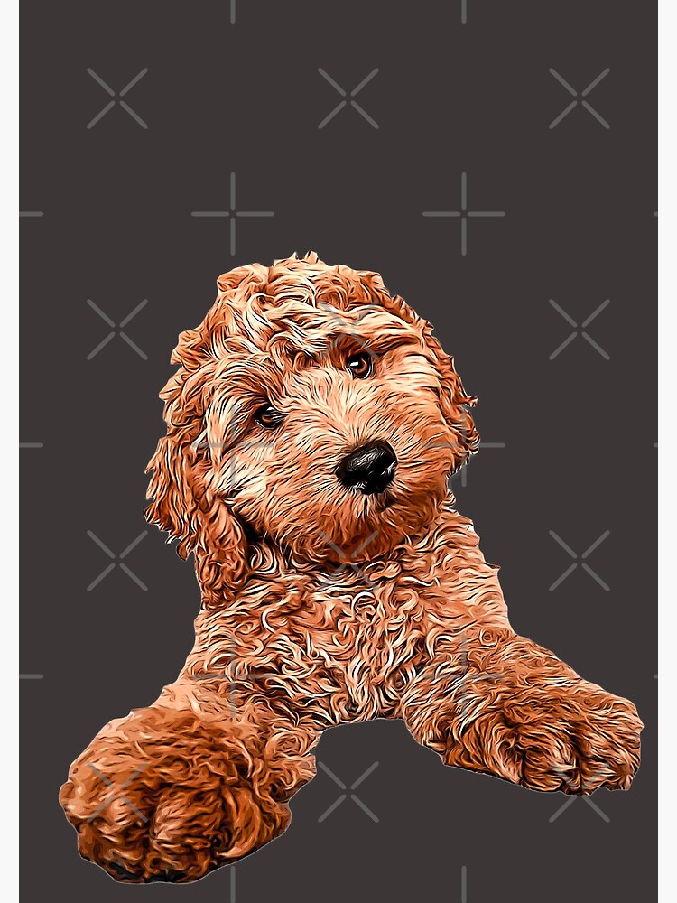 "Cavapoo Labradoodle Goldendoodle Poodle Mix " Spiral Notebook by ...