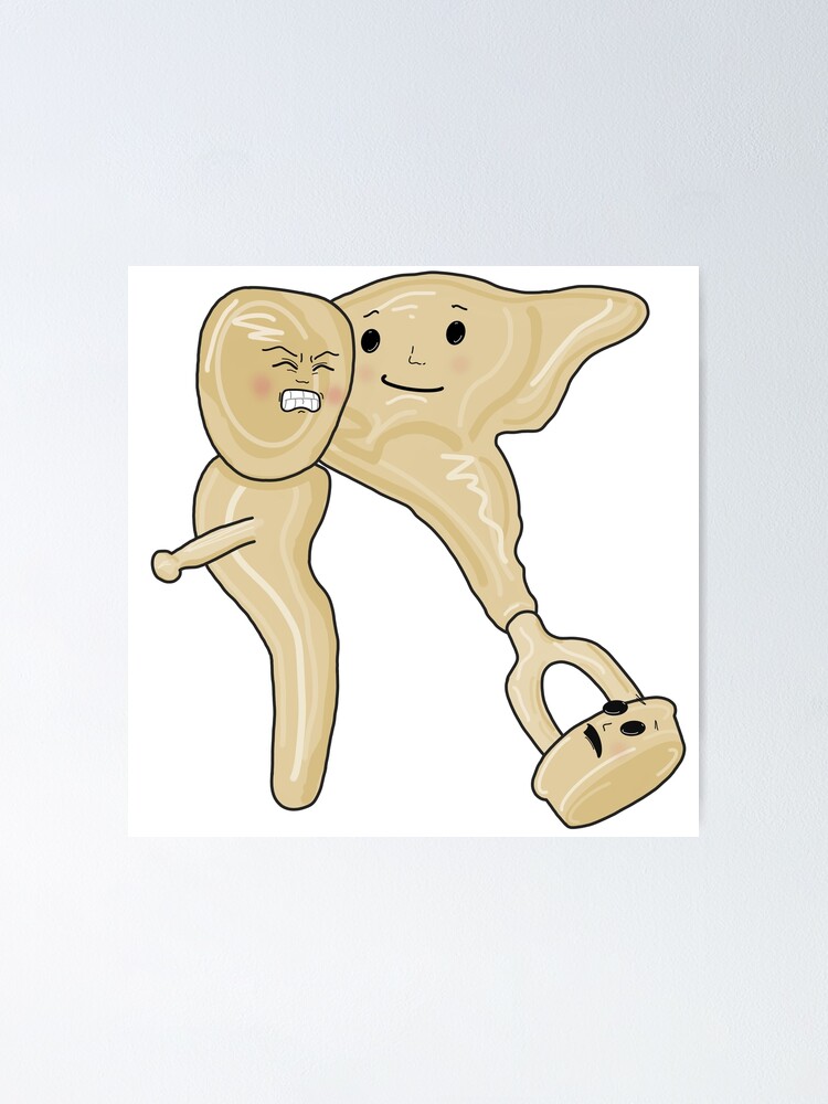"The Ossicles" Poster for Sale by AriaSaysHello | Redbubble