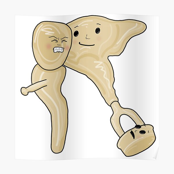 "The Ossicles" Poster for Sale by AriaSaysHello | Redbubble