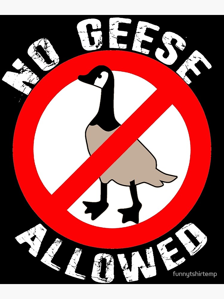 "No Canadian Geese Goose No Geese Allowed" Framed Art Print for Sale by ...