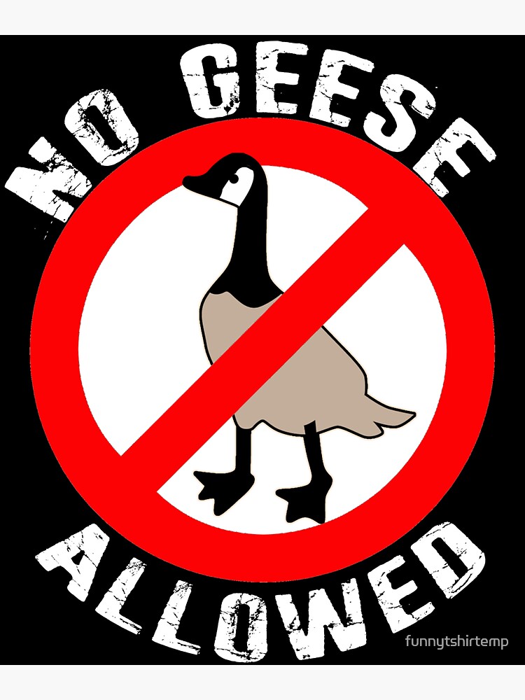 "No Canadian Geese Goose No Geese Allowed" Sticker for Sale by ...