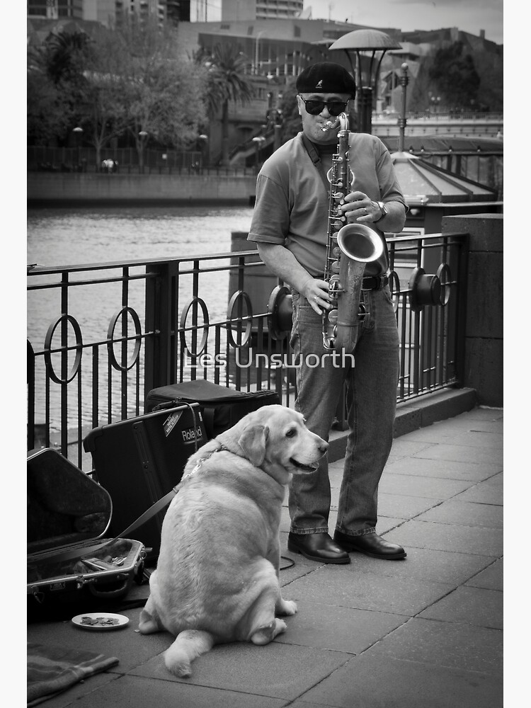 "Busker and Friend" Poster for Sale by LesU | Redbubble