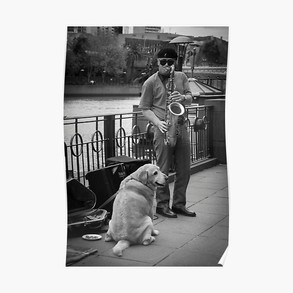 "Busker and Friend" Poster for Sale by LesU | Redbubble