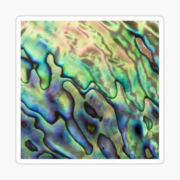"Abalone Marble Shell " Sticker for Sale by Designexplorer | Redbubble