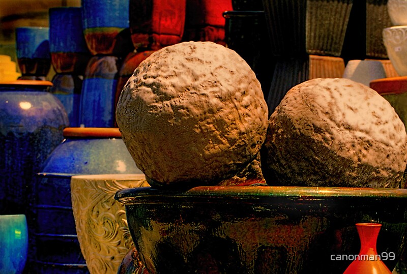 "" Elephant Nuts "" by canonman99 | Redbubble