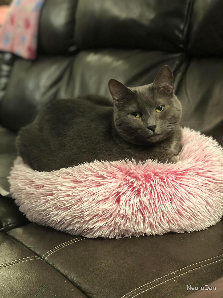 "Amelia Pretty in Pink" Sticker for Sale by NeuroDan | Redbubble