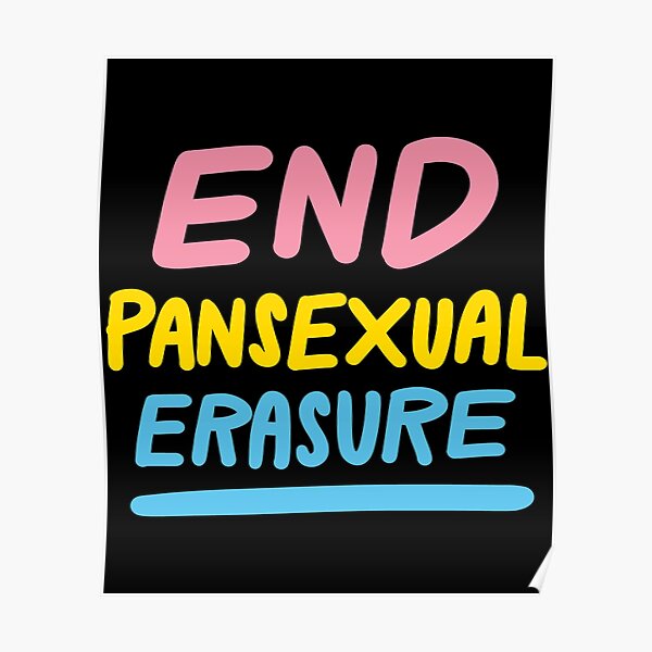 "End Pansexual Erasure LGBTQ Pan Pride Flag" Poster by yesqueen | Redbubble