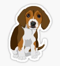 Beagle Stickers | Redbubble