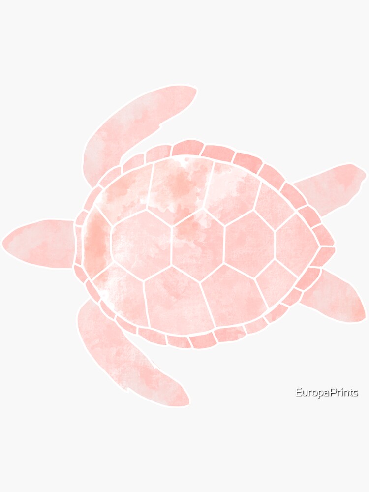 "Pink Turtle Sticker" Sticker by EuropaPrints | Redbubble