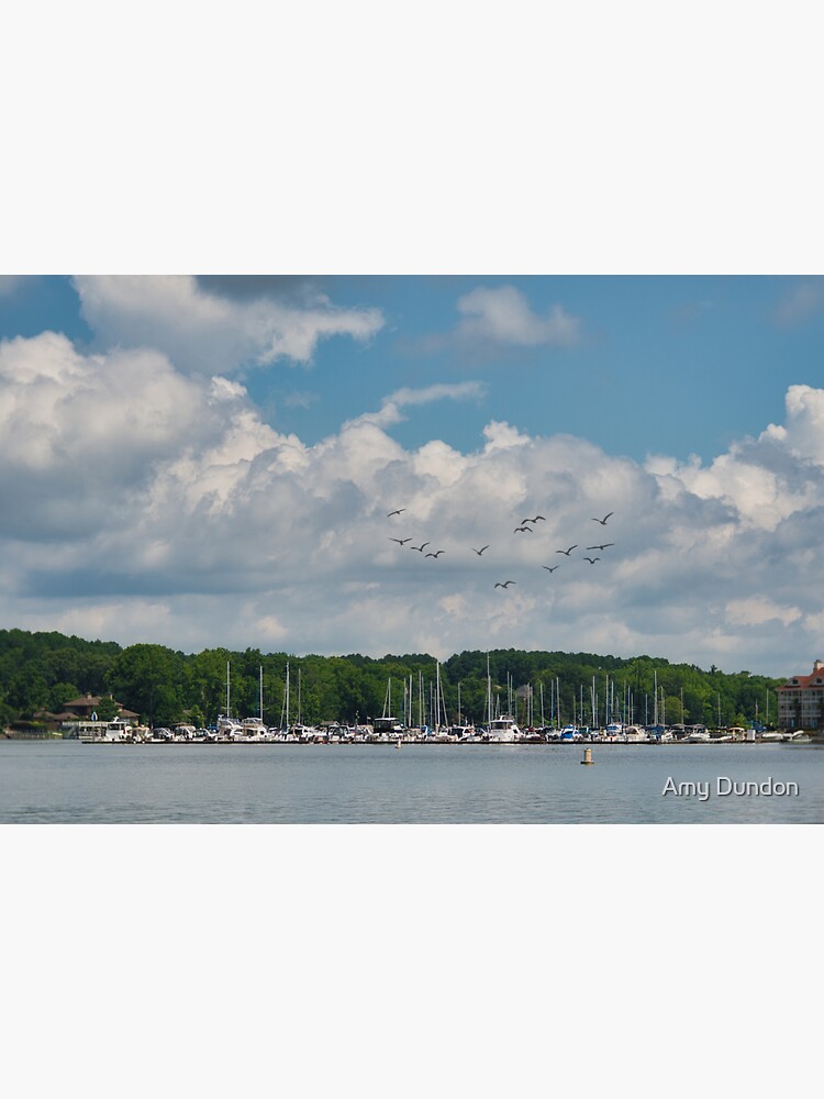 "Sunny Marina View, Lake Norman NC" Sticker for Sale by AmyDundon ...