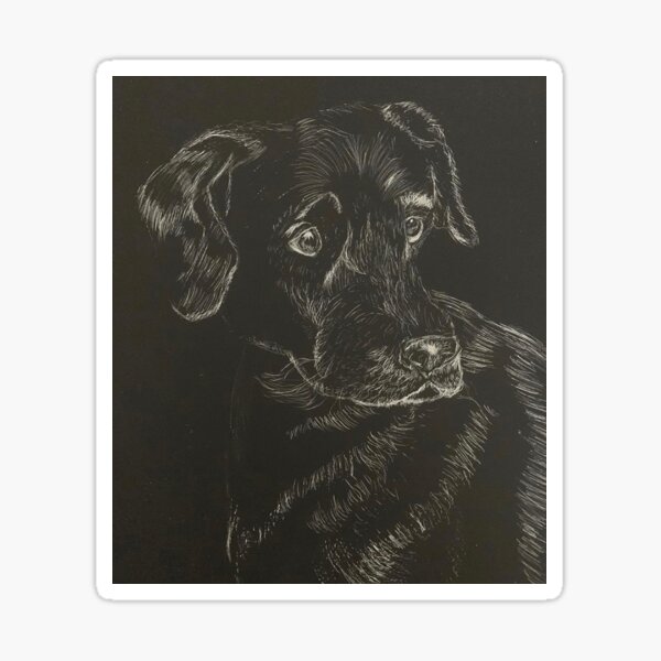 "cute realistic black lab" Sticker for Sale by Ashleecarmela | Redbubble