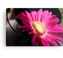 ""Attraction"" by 1044photography | Redbubble