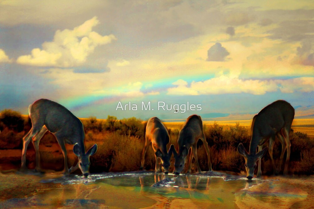 "Taste The Rainbow" by Arla Ruggles | Redbubble