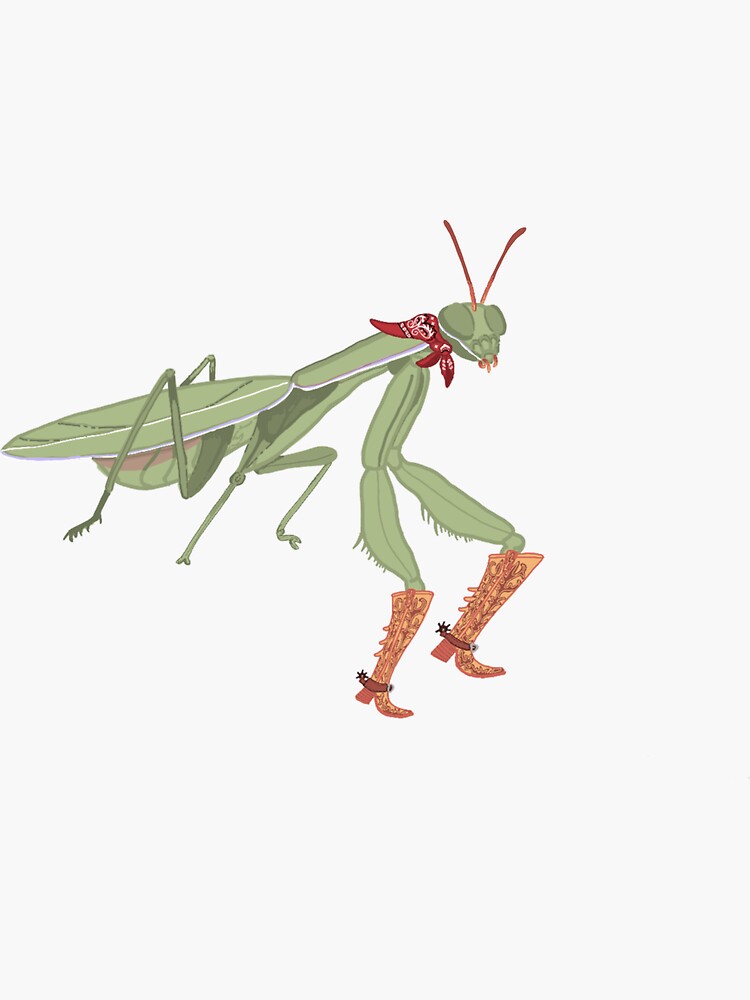 "Cowboy praying mantis" Sticker by Olivedressing | Redbubble
