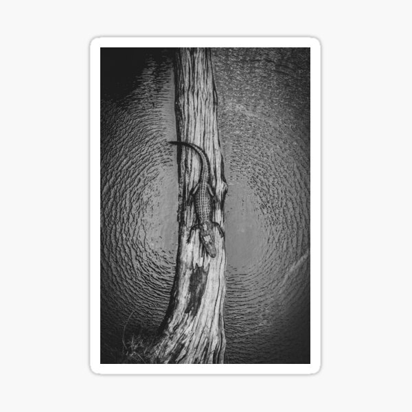 "Swamp Puppy" Sticker for Sale by pensacolavibes | Redbubble