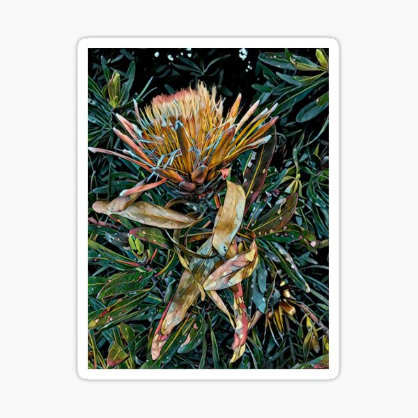 "Australian Native Floral Design" Sticker for Sale by champagnemoment ...