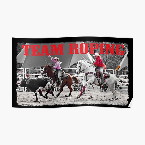 "TEAM ROPING, RODEO EVENT" Poster for Sale by Tinpants | Redbubble