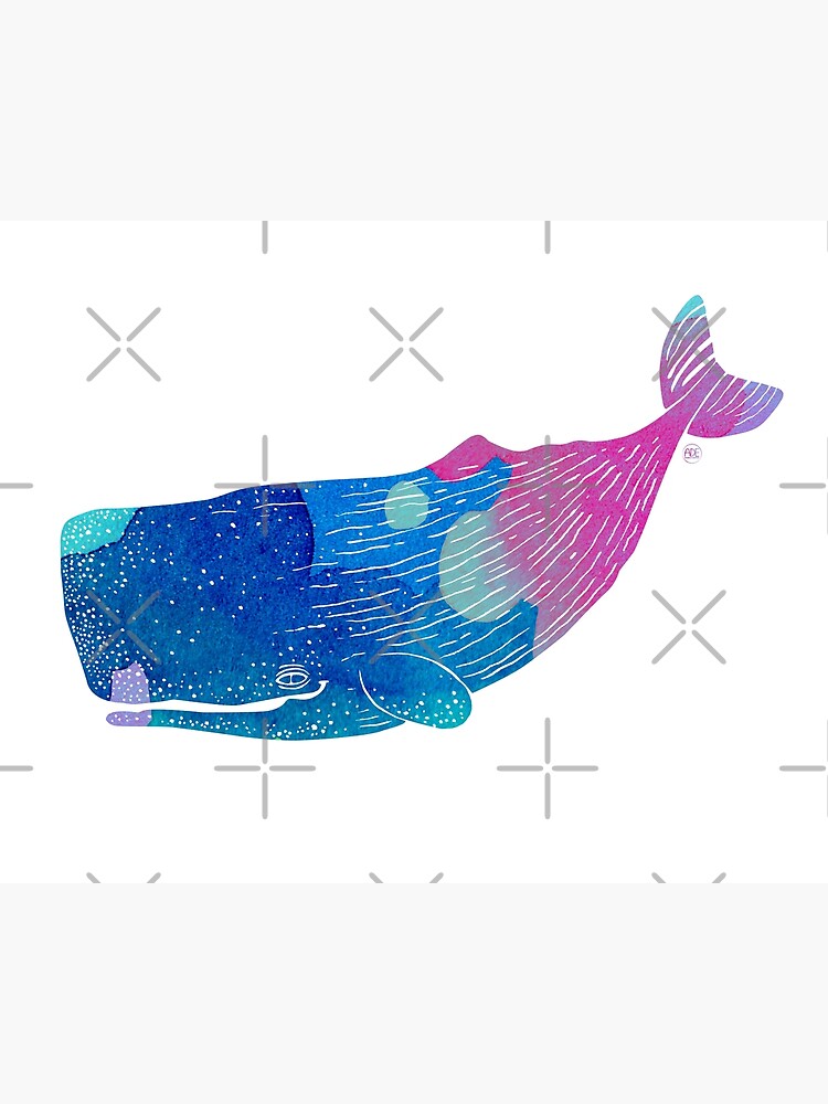 "Sperm Whale (color)" Photographic Print by adeillustrator | Redbubble