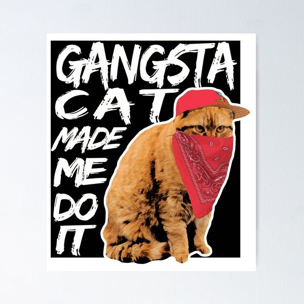 Gangsta Cat Meme