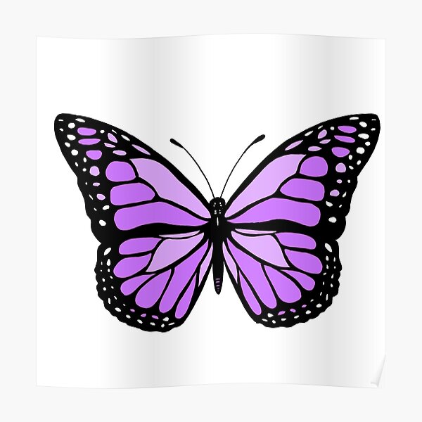 "purple butterfly" Poster by robinverheul | Redbubble